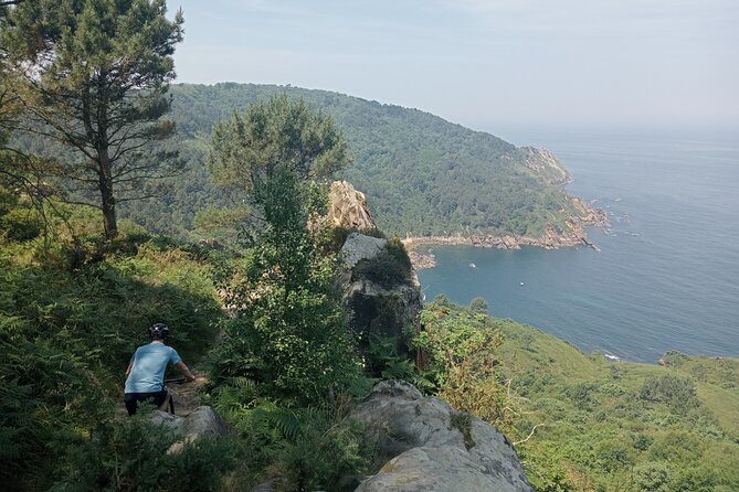 Mountain Bike Small Group Tour in San Sebastian - A Closer Look at the Mountain Bike Tour Experience