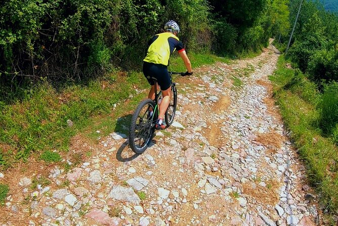 Mountain Biking on Vrmac peninsula - Panoramic view on Kotor bay - In-Depth Look at the Vrmac Mountain Biking Experience