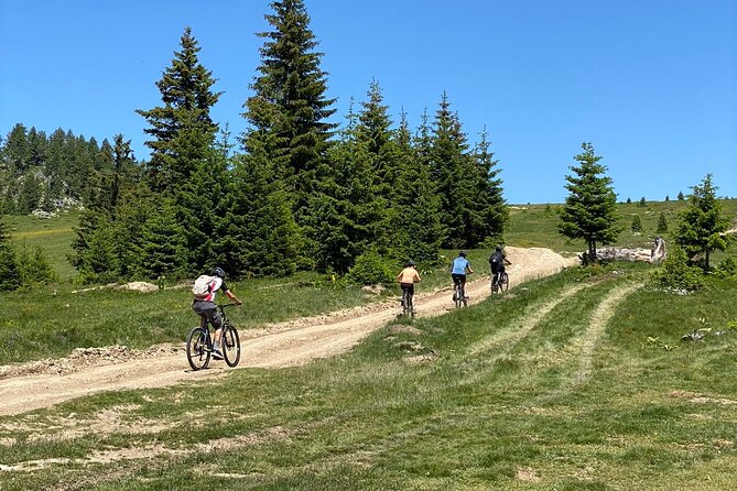 Mountain Biking Tour - Key Points