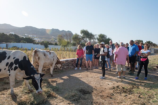Mykonian Farm Experience - The Farm Visit: A Glimpse of Rural Mykonos