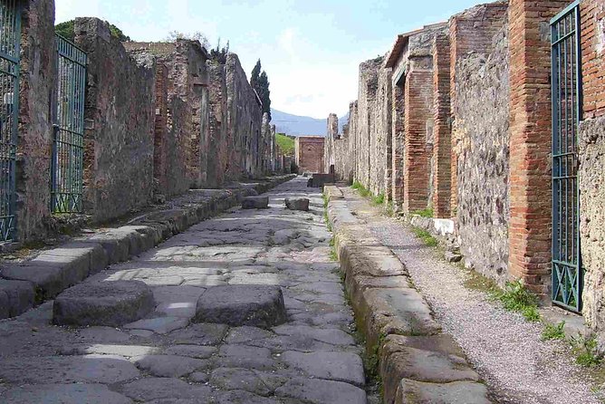 Naples Shore Excursion: Pompeii Half Day Trip from Naples - Navigating the Pompeii Half-Day Journey
