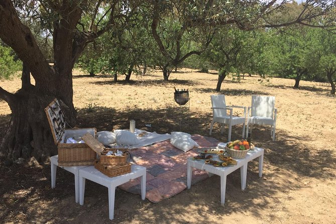 Nature and History: Agrigento and Scala dei Turchi - An Introduction to Sicily’s Highlights in a Day