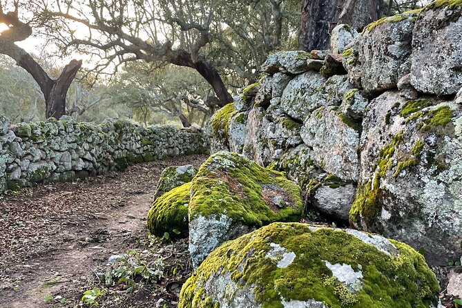 Nature walks in Marvão - Key Points