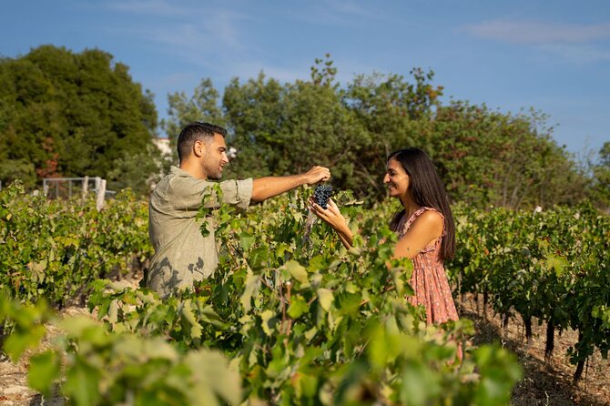 Nemea wine roads, The most famous wine tour in Greece - Key Points