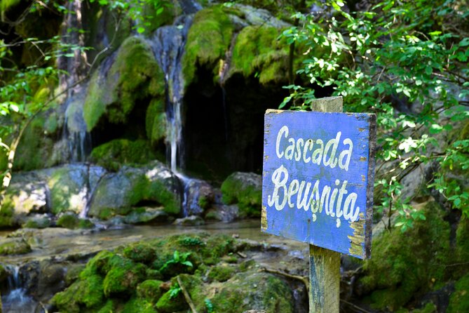 Nera Gorge National Park - Private Day Tour from Timisoara - A Closer Look at the Nera Gorge Adventure