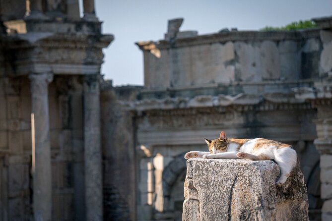 NEW: Private The Most Detailed Ephesus Shore Excursion / with Lunch - Key Points