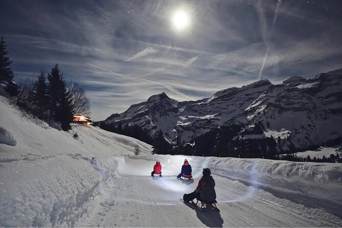 Night Sledding and Fondue Feast Interlaken - An Exciting Night Under the Stars