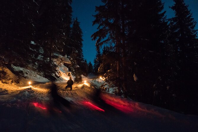 Night Sledding from Interlaken - The Itinerary: What You Can Expect