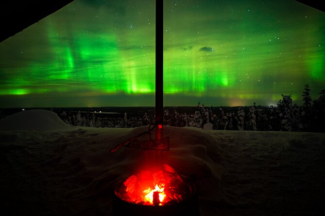 Night Snowshoeing Adventure under the Northern Lights - Practical Details & Booking Tips