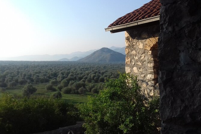 Noah's Ark Skadar Lake Journey - An In-Depth Look at the Skadar Lake Experience