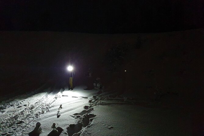 Nocturnal Skiing: Experience the Arctic's Magic - Key Points