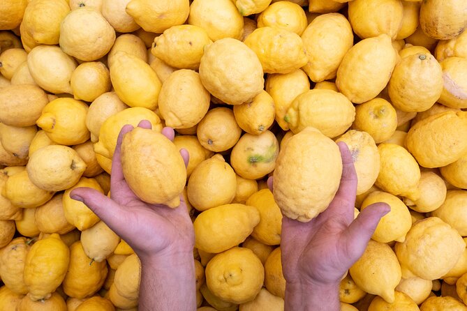 Nonno Mario Sorrento Lemon tour - Who Will Enjoy This Tour?