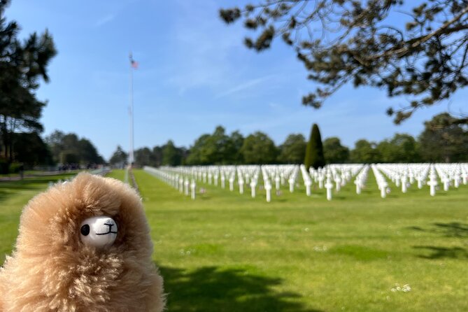 Normandy D-day landing beaches & Caen Memorial Private Tour - The Experience: What Sets It Apart