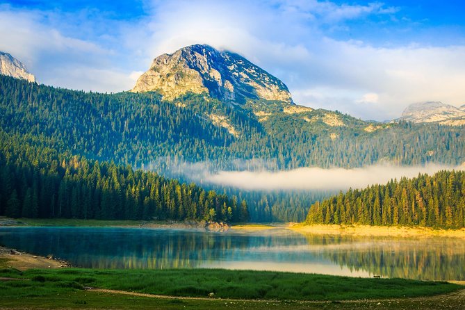 North of Montenegro Private Tour - Tara Canyon & National Parks - An In-Depth Look at the Tour Experience