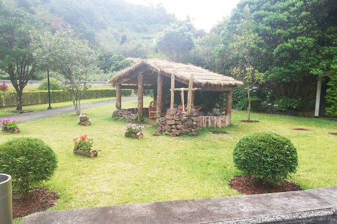 Northeast Tour of the Island - Introduction: Why This Tour Might Be Your Ideal Madeira Day Trip