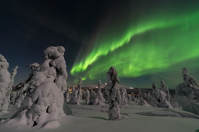Northern Light Safari by Snowmobiles From Levi - An In-Depth Look at the Tour Experience