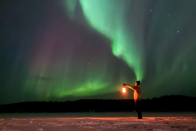 Northern Lights Adventure in the Wild with Campfire Treats - Encountering the Arctic Night: What to Expect