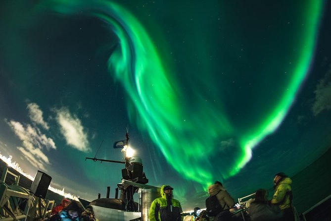 Northern Lights by Boat with a Backup Plan from Reykjavik - What to Expect on the Tour