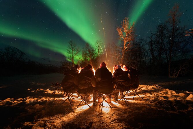 Northern Lights by Minibus. Photos Under the Lights included. Tromso - The Route and What to Expect
