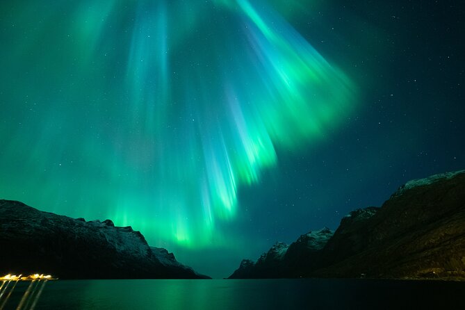 Northern Lights Chase by Bus in Tromso - The Itinerary in Detail