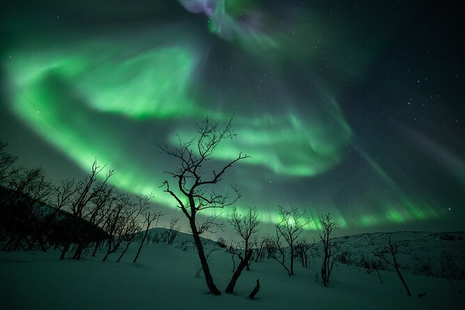 Northern Lights Expedition with Arctic Photo Guide max 6 guests - Why Choose This Tour?