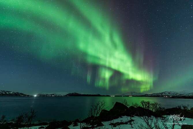 Northern Lights Guided Bus Tour with Snacks Hot drinks - What You Can Expect from the Northern Lights Bus Tour