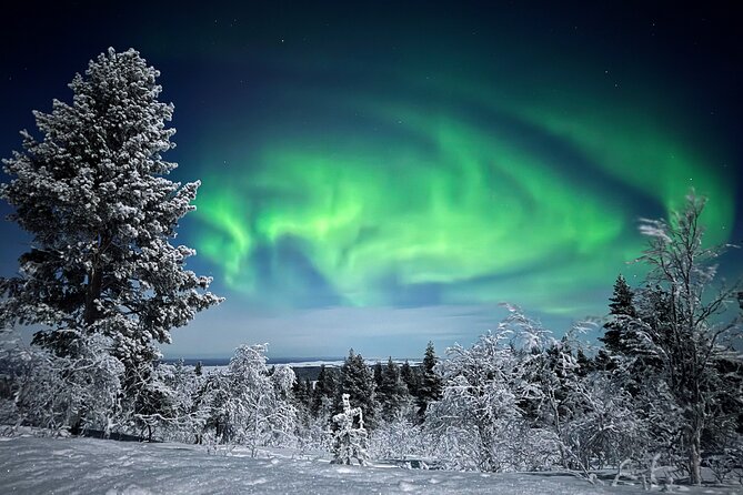 Northern Lights Holiday in Finland - Discovering the Arctic Wilderness: An Overview