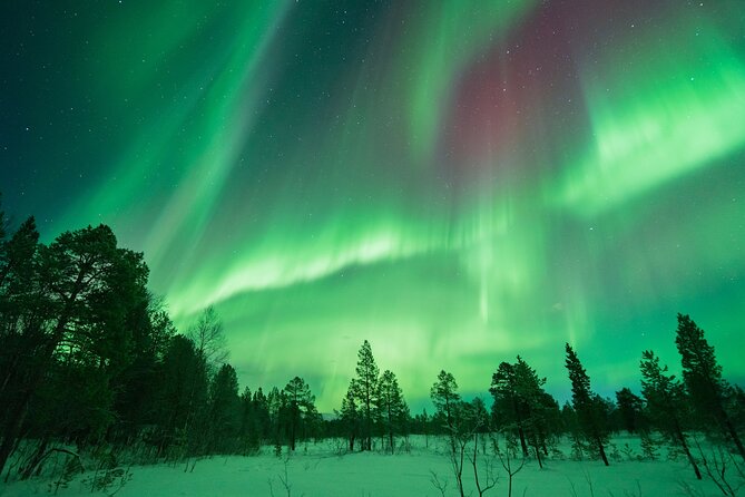 Northern Lights Hunt with The Green Adventure - photos included - An Authentic Northern Lights Experience: What to Expect