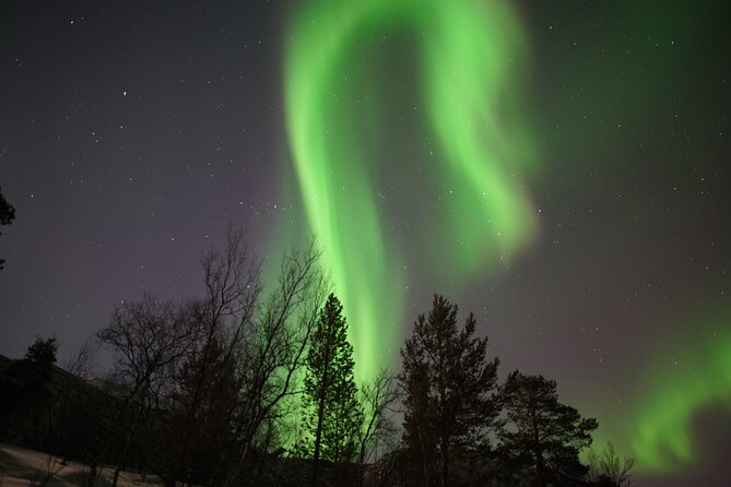 Northern Lights Hunt - Analyzing the Value