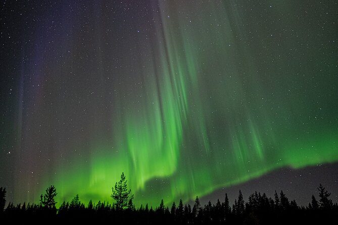 Northern Lights Hunting with a photographer (Only small groups) - An Authentic Aurora Experience