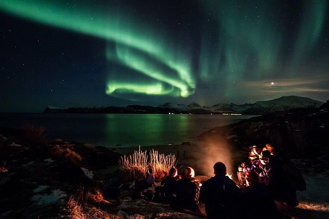 Northern Lights Minibus Chase - The Overall Concept