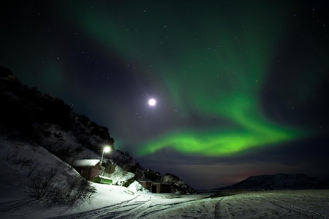 Northern Lights Minibus Tour with Hot Cocoa, Blankets & Photos - An In-Depth Look at the Tour Experience