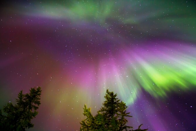 Northern lights Reindeer Sledge Ride - Important Details and What You Can Expect