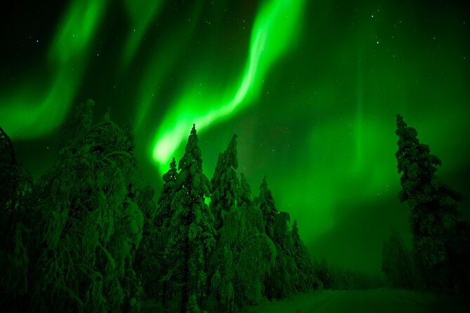 Northern Lights Snowmobile Tour - An In-Depth Look at the Experience