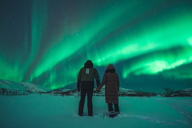 Northern Lights Tour in Tromso - The Scenic Journey to the Aurora