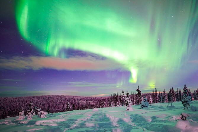 Northern Lights Wilderness Small-Group Tour from Rovaniemi - What You Can Expect on the Tour