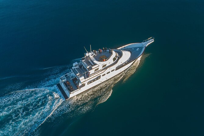 Northern Lights Yacht Cruise in Reykjavik - An In-Depth Look at This Unique Experience