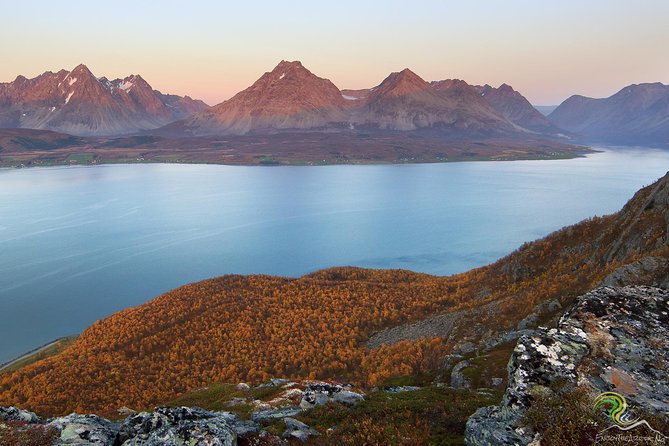 Norwegian Fjords Tour, Including Professional Photos in Tromso - Final Thoughts: Is This Tour Right for You?