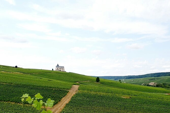 Not Your Average Champagne Tour - Day Trip From Paris (Private) - An Authentic Champagne Journey from Start to Finish