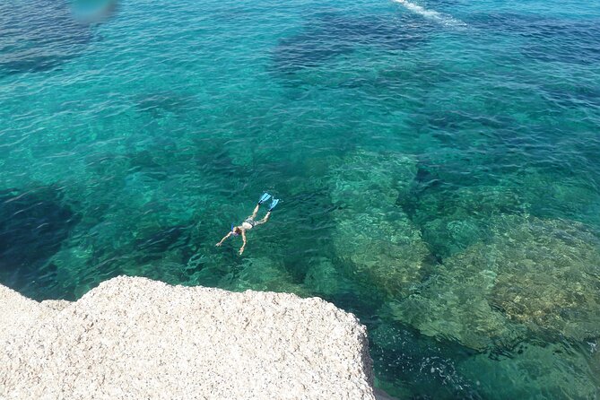 Observation of Dolphins and Snorkeling in a rubber boat in Olbia - FAQ