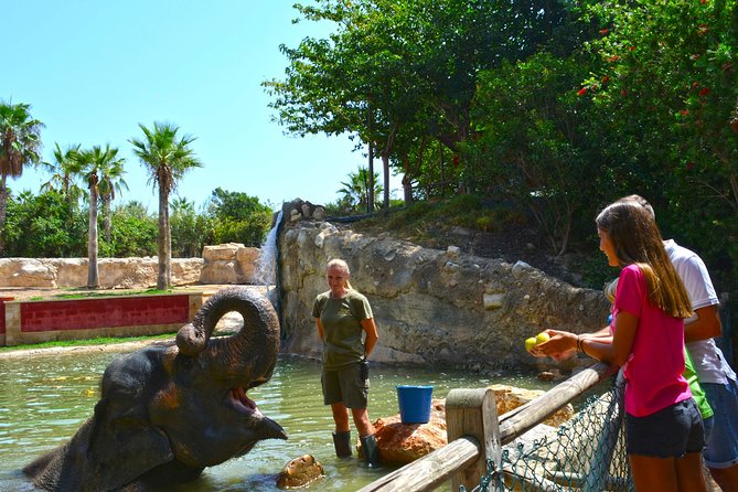 Offer Summer Terra Natura entrance ticket - An In-Depth Look at Terra Natura Benidorm