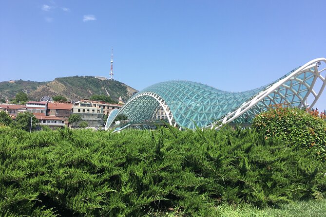 Old Tbilisi Private Walking Tour with Wine Tasting and Cable Car - The Parliament and Presidential Palace