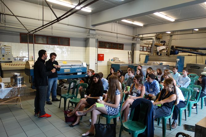 Olive Tour & Tasting - An Authentic Slice of Greece’s Olive Heritage