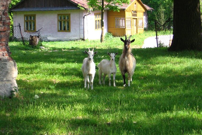 One day in the polish countryside- private tour from Krakow - What’s Included and How It Shapes Your Day