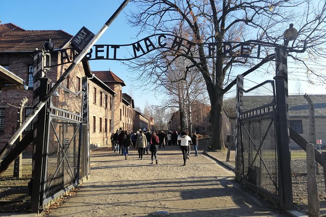 One Day Tour to Auschwitz-Birkenau from Warsaw by Car - The Itinerary: What to Expect