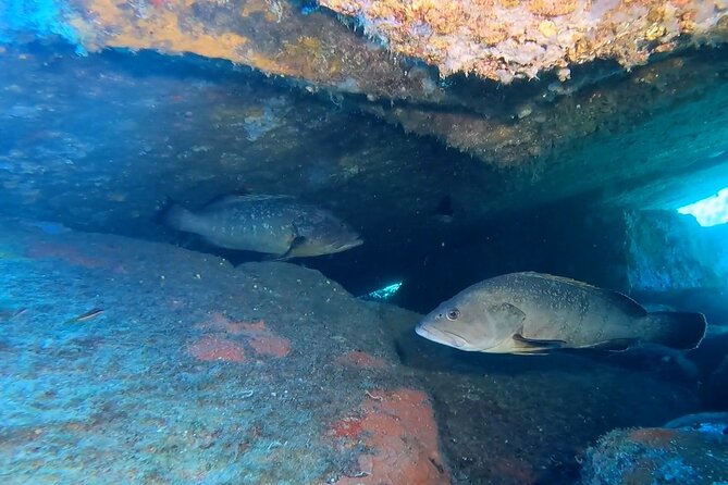 Open Water Diver course - Key Points