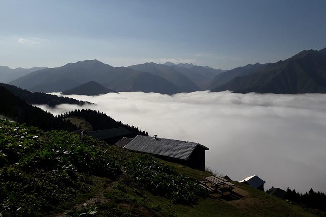 Organic Pokut Tour - Why Youll Love the Organic Pokut Tour