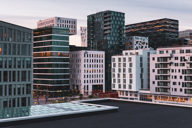 Oslo Like a Local: Customized Private Tour - Authentic Experiences and Honest Feedback