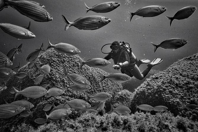 Package of 2 double dives in the Capo Carbonara Marine Protected Area - Diving into the Details: What This Tour Really Offers