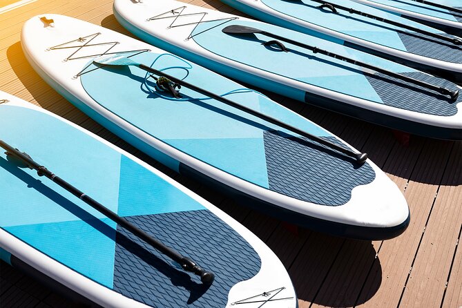 Paddle Boarding Lesson in Torrevieja - Key Points